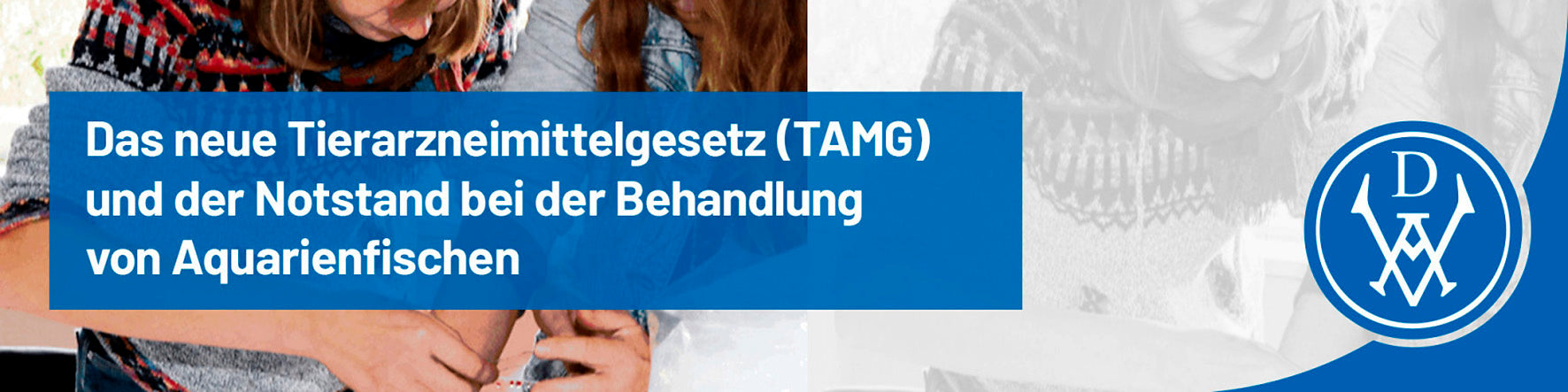 Mit Ichthyo zum Tierarzt? – Dähne Aquaristik